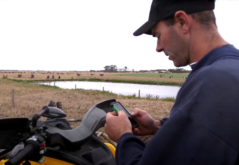 Anchor Dairy | Farmer Stories | CowManager