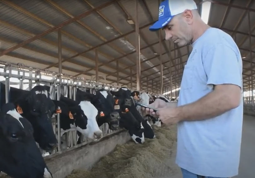 De Groot & Son Dairy | Farmer Stories | CowManager