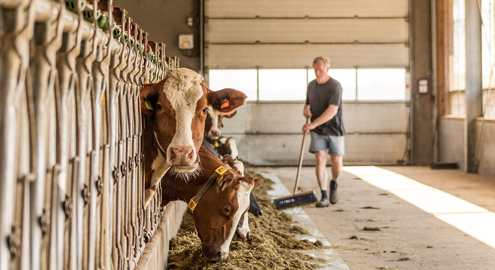 Family Wijers | Farmer Stories | CowManager