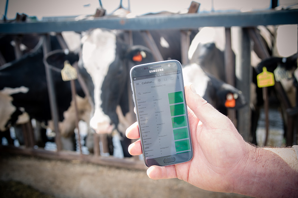 Proactive Cow Management | News | CowManager