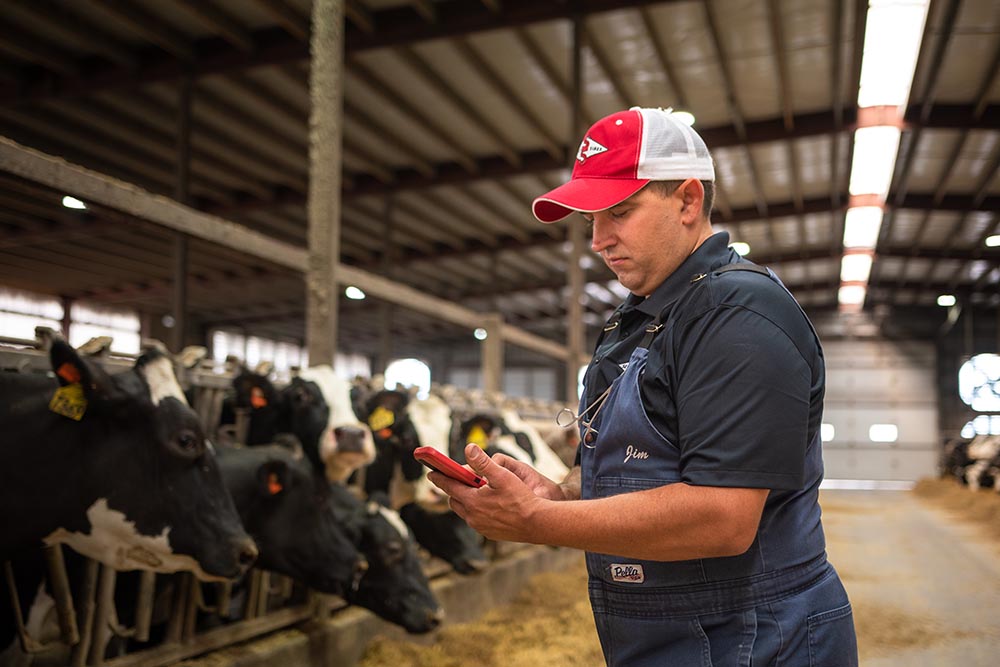 AI Specialist Shares Repro Tips | Expert Interview | CowManager