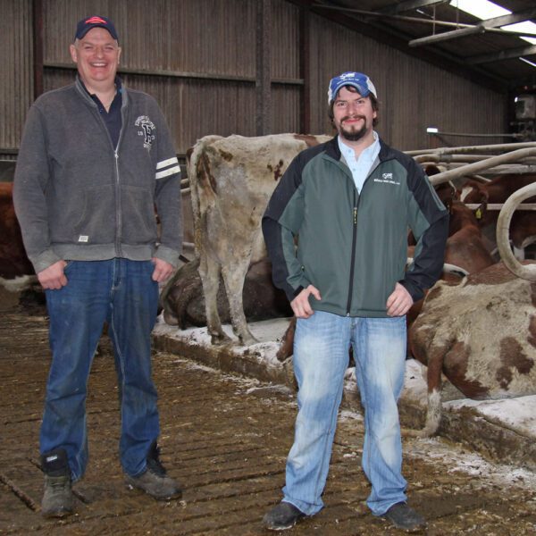 Cow Monitoring Benefits for Northern Ireland | CowManager