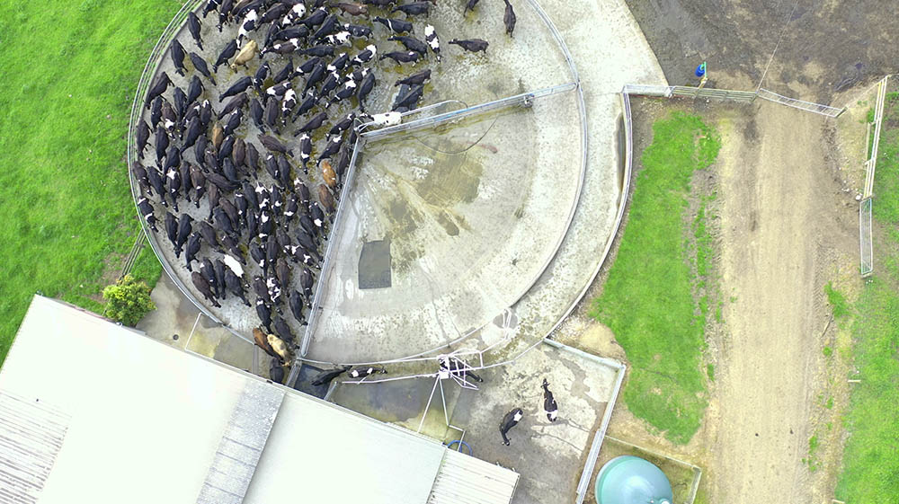 Herd Management System Integrations | CowManager