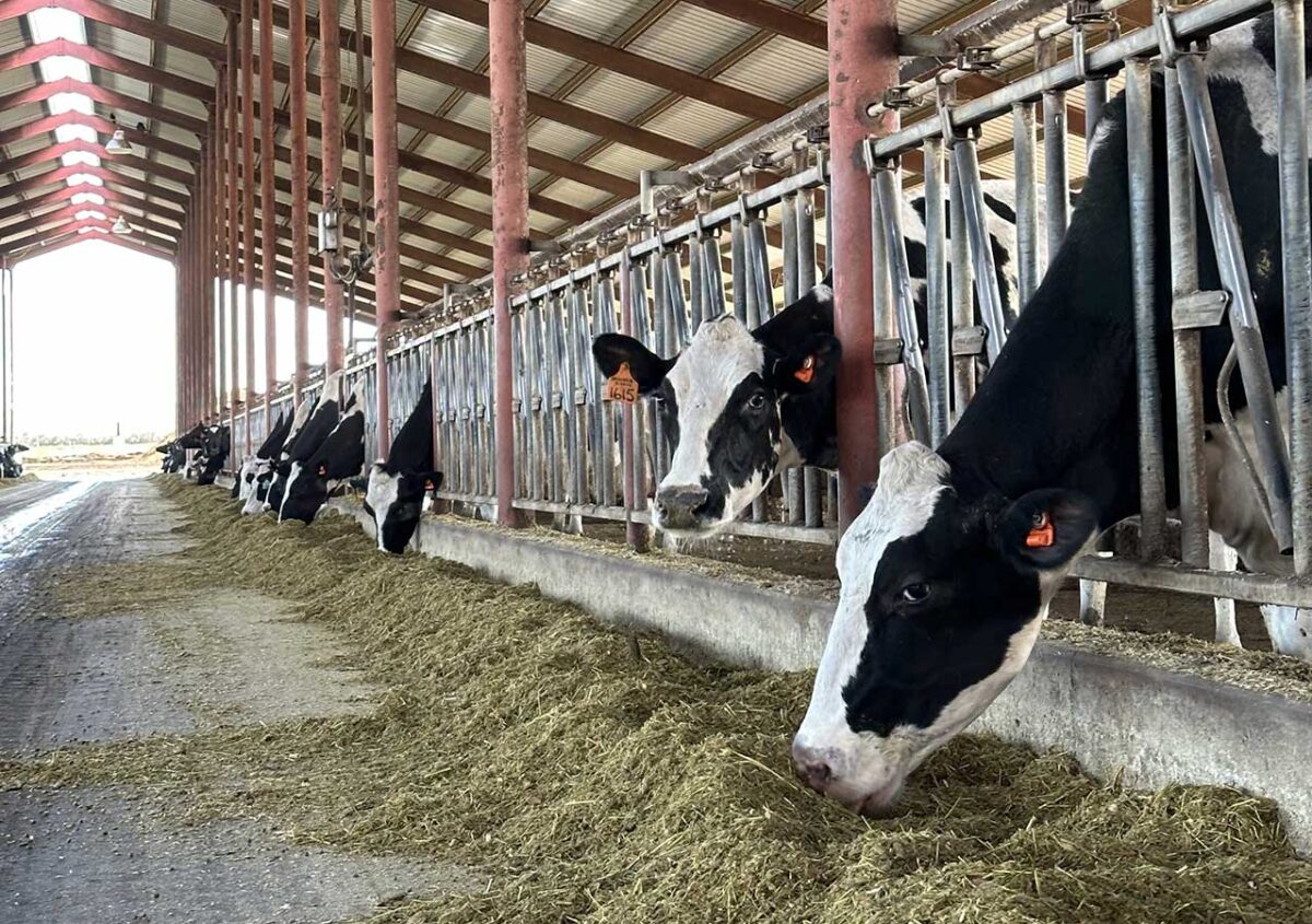 The ability to know what to expect | CowManager