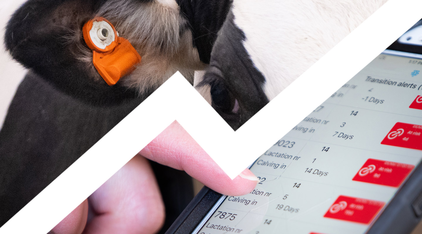 Data Access for Employers and Advisors | MultiView | CowManager