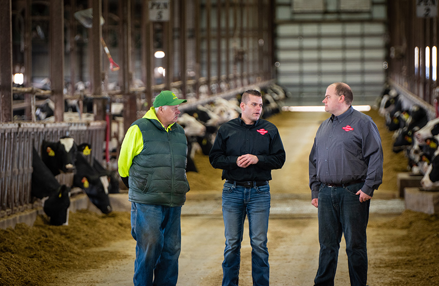 Wayside Dairy | Farmer Stories | CowManager