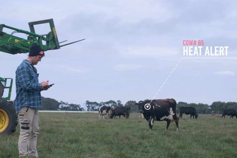 Sharing Cow Data, Better Farming | Farmer Stories | CowManager