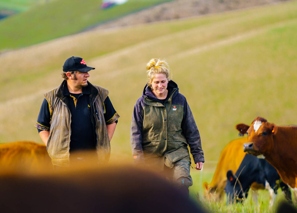 Successful Sharemilking with Ear Sensors | Farmer Stories