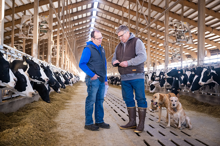 Summit Dairy | Farmer Stories | CowManager