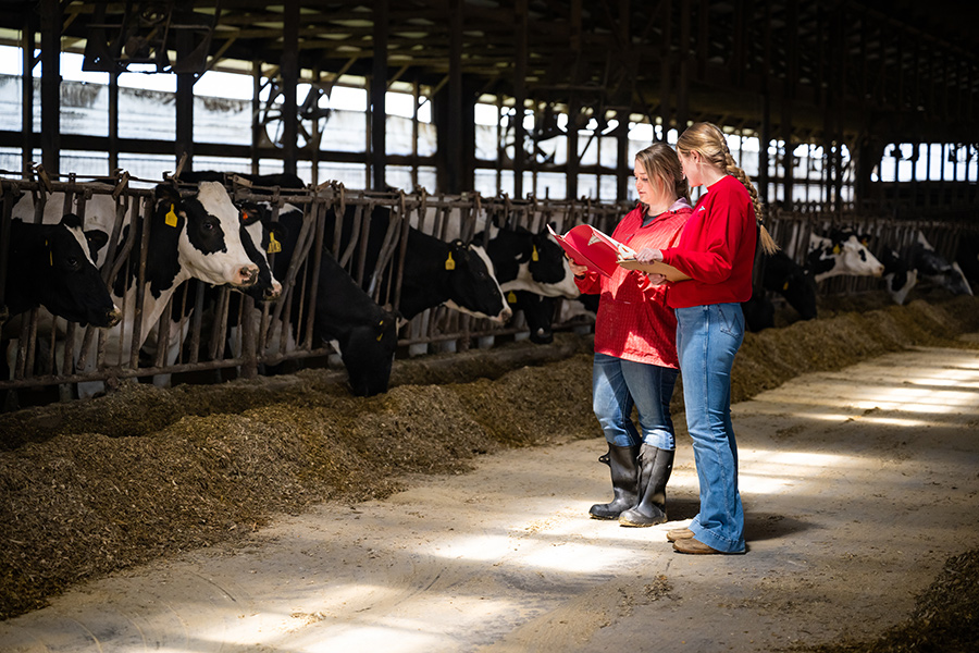 Triple M Dairy | Farmer Stories | CowManager