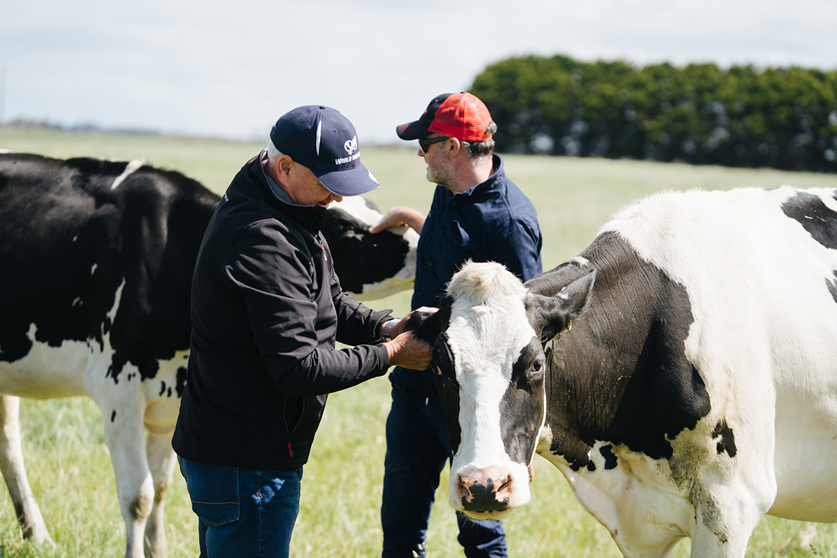 Paul Quinlan | Expert Interview | CowManager